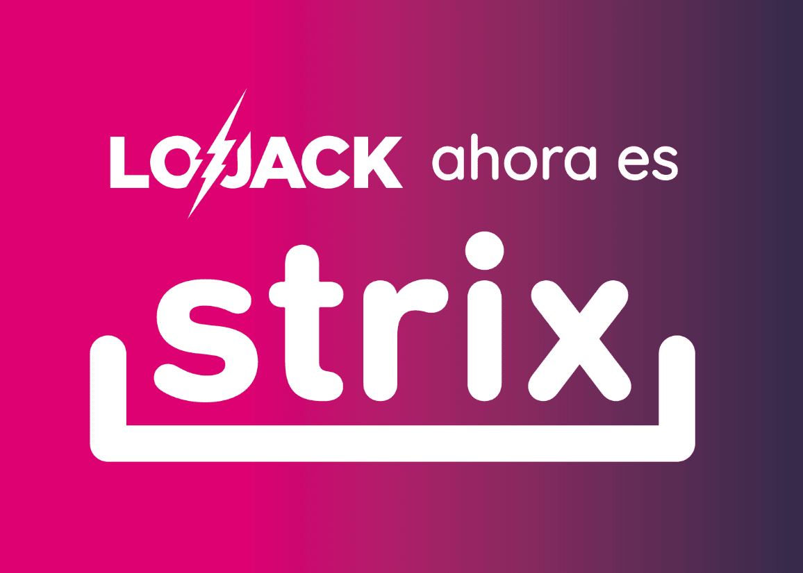 Strix, la evolución de una marca que se reinventó para continuar el ...