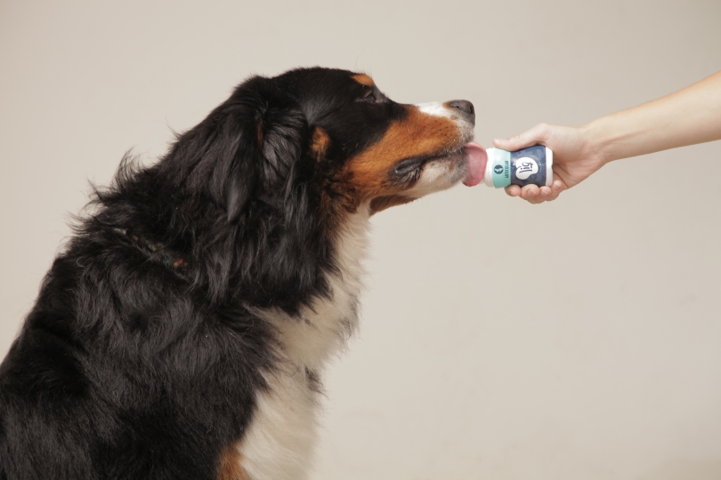 Pet Drink y +Castro crearon Liq, un snack líquido saludable para perros ...